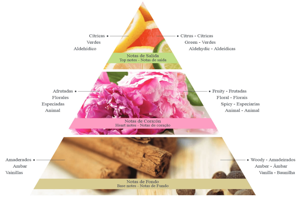 Estructura de un perfume: pirámide olfativa y notas aromáticas