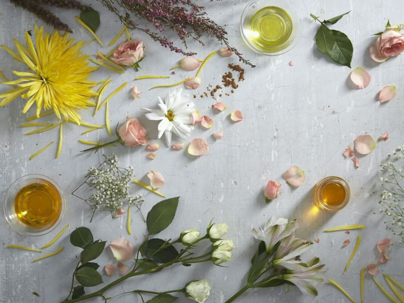 Materias Primas de los Perfumes | CDN Perfumes