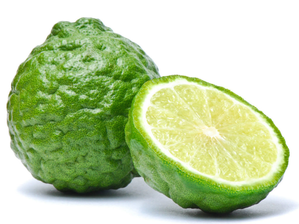 Bergamota - Perfumes de Bergamota | CDN Perfumes