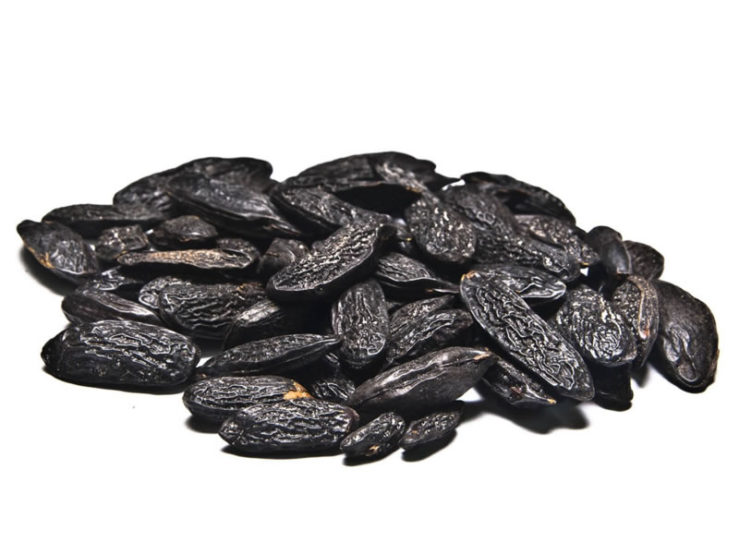 Haba Tonka: Uso en Perfumería | CDN Perfumes