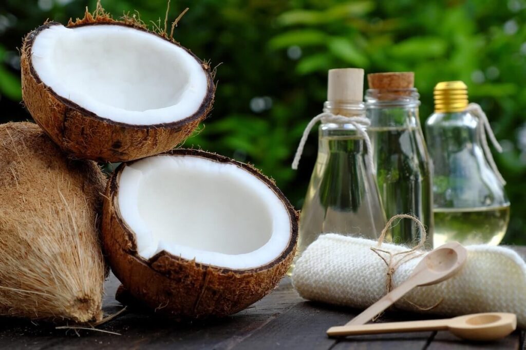 El Coco en la Perfumería - Perfumes de Coco | CDN Perfumes